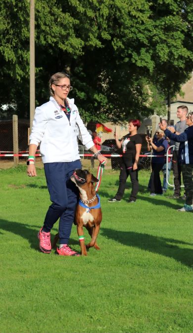 WUBOX IGP International Championship 2023 - Teams