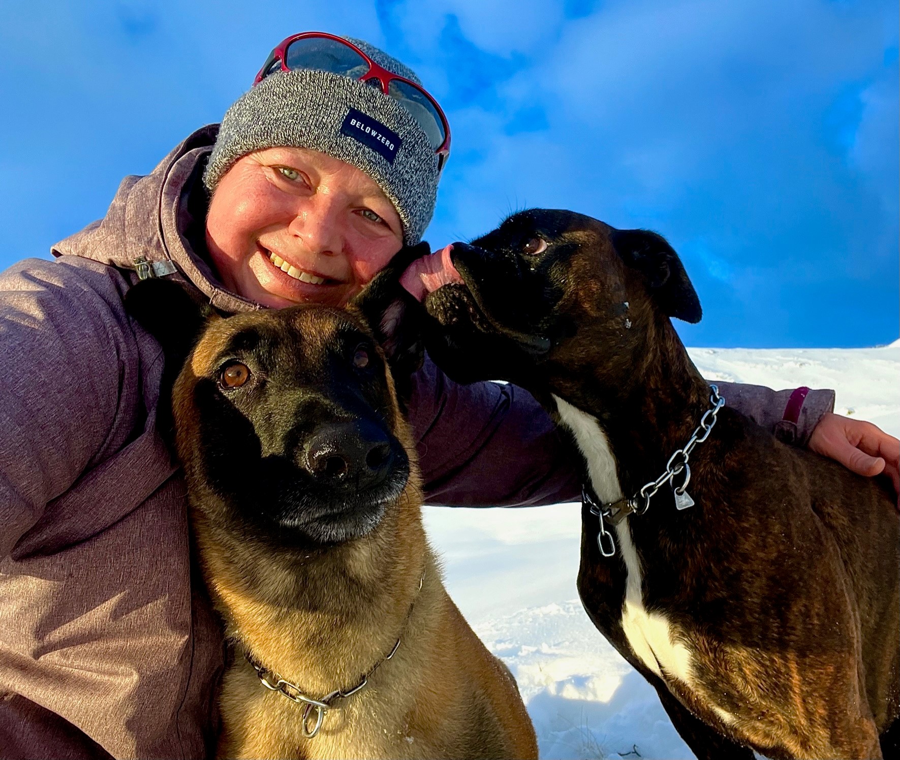 WUBOX IGP International Championship 2023 - Teams